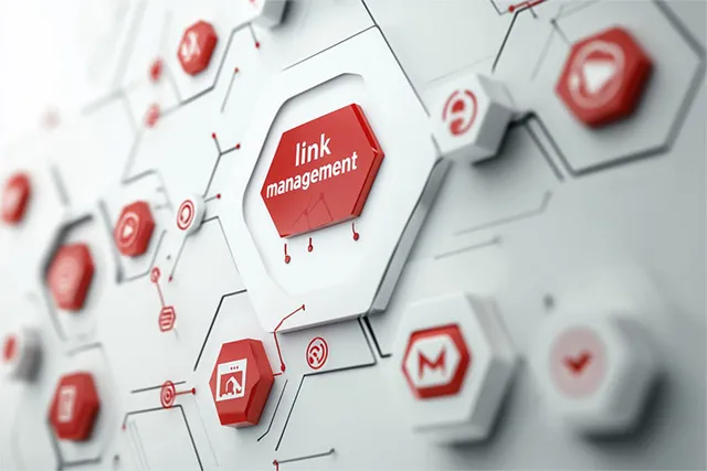 Qu'est-ce que le link management